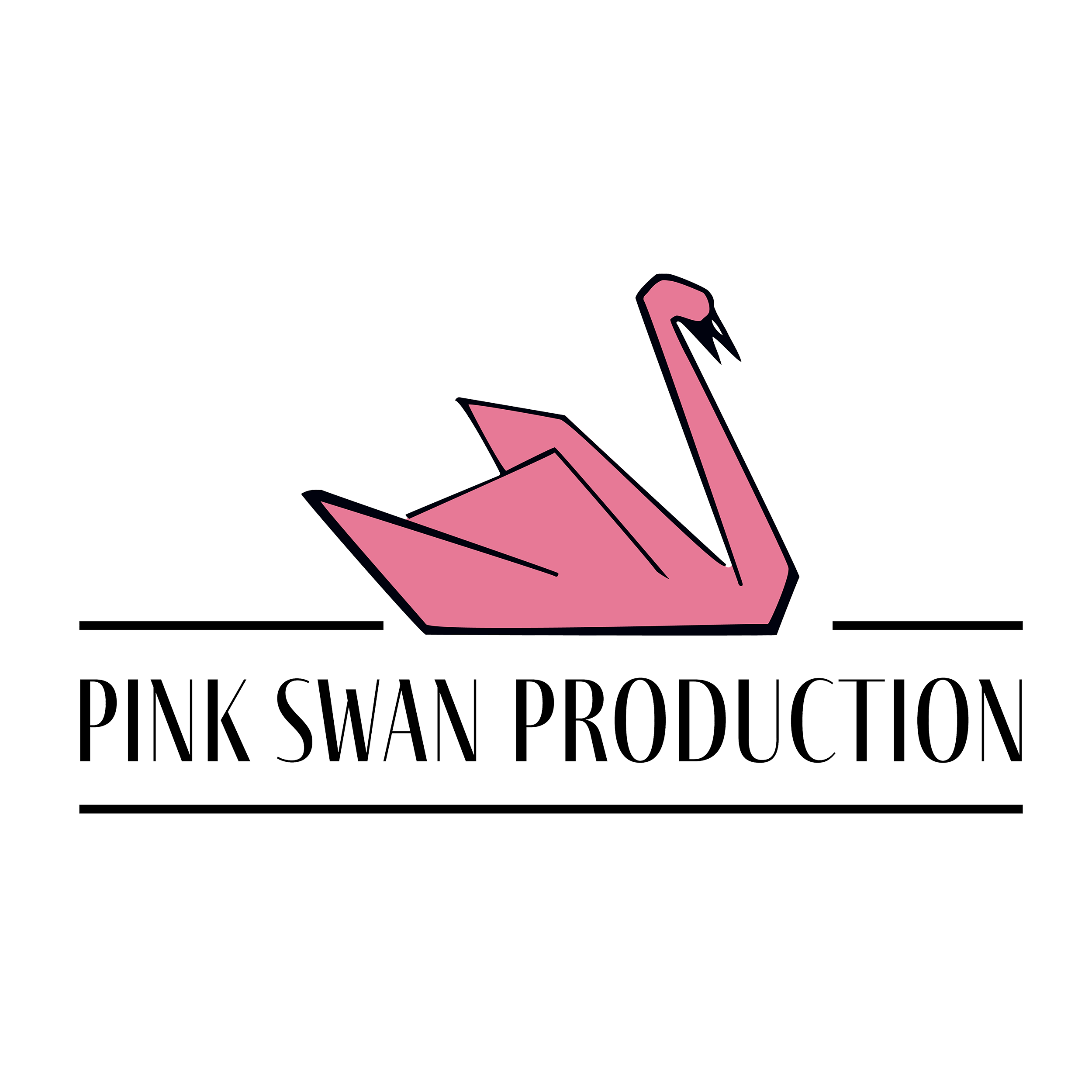 Pink Swan – Film & Art Production